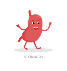 Happy healthy smiling stomach character Royalty Free Vector