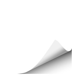 White page corner Royalty Free Vector Image - VectorStock