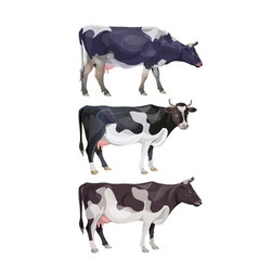 Black and white spotty cow Royalty Free Vector Image