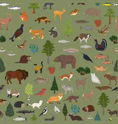 Taiga biome boreal snow forest terrestrial Vector Image