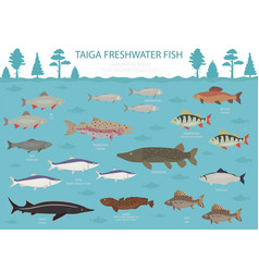 Taiga biome boreal snow forest terrestrial Vector Image