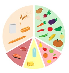 Food pyramid chart Royalty Free Vector Image - VectorStock