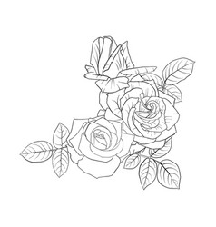 Twisted snake and rose flowers Royalty Free Vector Image