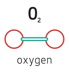 Oxygen o2 molecule models blue Royalty Free Vector Image