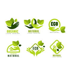 Organic eco logos with green leaves bio Royalty Free Vector
