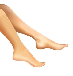 Human foot cartoon isolated Royalty Free Vector Image