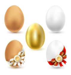 Fresh chicken eggs Royalty Free Vector Image - VectorStock