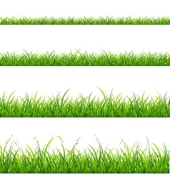Phases green plant growing Royalty Free Vector Image
