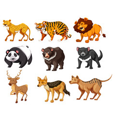Wild animals in many types Royalty Free Vector Image