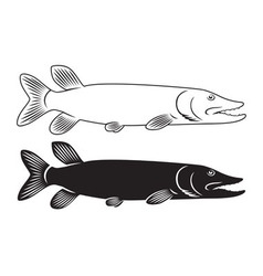 Black koi fish tattoo Royalty Free Vector Image