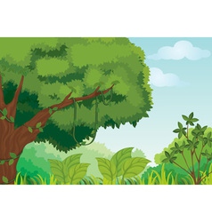 Forest glade nature landscape background Vector Image