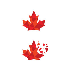Maple leaf emblem icon Royalty Free Vector Image