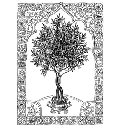 Olive branch vector by Talli - Image #704085 - VectorStock