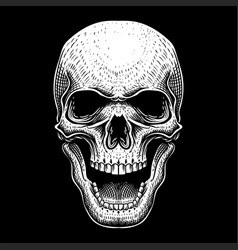 Skull moon head Royalty Free Vector Image - VectorStock
