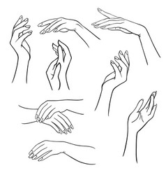 Outlined set female hands in different Royalty Free Vector