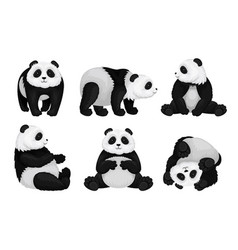 Sitting panda rear view Royalty Free Vector Image
