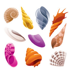 Fresh modern gradient sea shells and pearl Vector Image