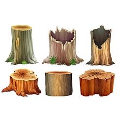 Different types of stumps Royalty Free Vector Image