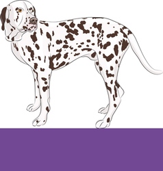 Canvas wooden frame template with cute dogs group Vector Image