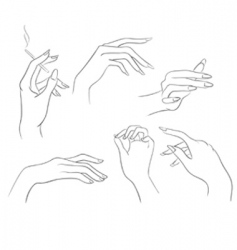Female hands line outline elegant woman hand Vector Image