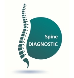 Human spine with name and description Royalty Free Vector