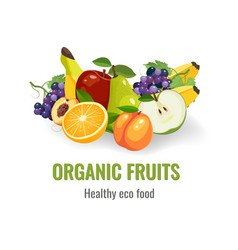 Healthy food fruits and vegetables Royalty Free Vector Image