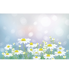 Spring background Royalty Free Vector Image - VectorStock