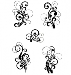 Floral element Royalty Free Vector Image - VectorStock