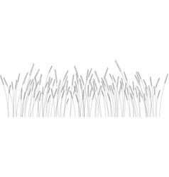 Wheatgrass icon in flat style on white background Vector Image