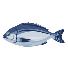 Realistic shrimp set isolated on white background Vector Image