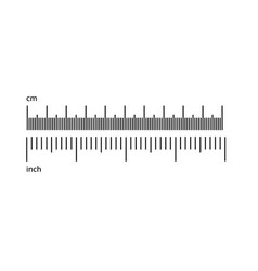 Measuring rulers school ruler metric scale Vector Image