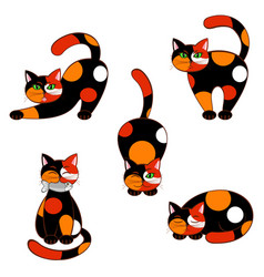 Lady cats Royalty Free Vector Image - VectorStock
