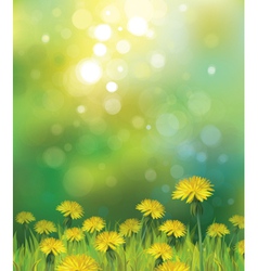 Spring background Royalty Free Vector Image - VectorStock
