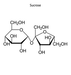 Dna molecule structure Royalty Free Vector Image
