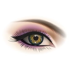 Beautiful female eye hand drawn Royalty Free Vector Image