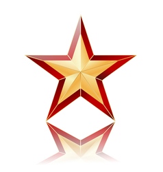 3d classic royal symbol sophisticated golden star Vector Image