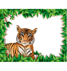 Tiger nature frame border Royalty Free Vector Image