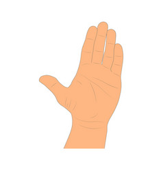 Human male arm left side Royalty Free Vector Image