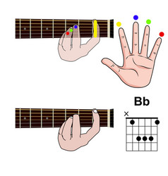 Guitar chord basic and hand position for ch Vector Image