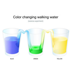 Experiment with salt and water making a saline Vector Image