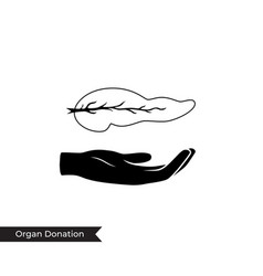 Pancreas Royalty Free Vector Image - VectorStock