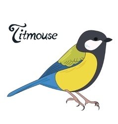 Titmouse Royalty Free Vector Image - VectorStock