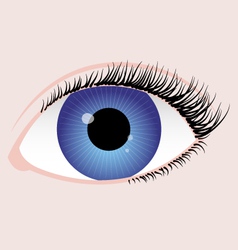 Blue eye Royalty Free Vector Image - VectorStock