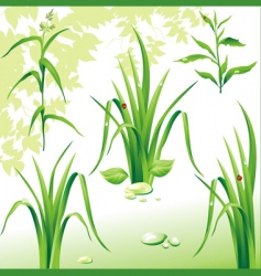 Grass Royalty Free Vector Image - VectorStock
