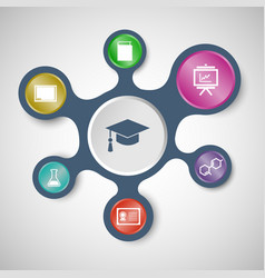 Education infographics for presentations Vector Image