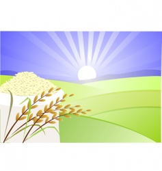 Landscape with paddy fields Royalty Free Vector Image