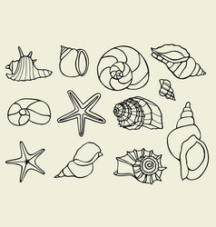 Hand drawing seashell set Royalty Free Vector Image
