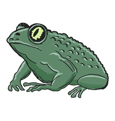 Toad Royalty Free Vector Image - VectorStock
