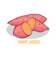 Sweet potato Royalty Free Vector Image - VectorStock