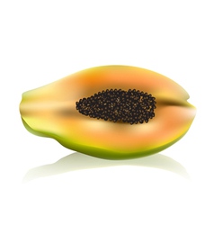 Papaya set pawpaw slice and whole juicy fruit Vector Image